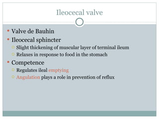 Colon ap 7-21-10 | PPT
