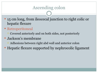 Colon ap 7-21-10 | PPT