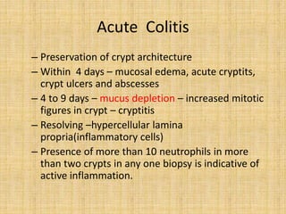 Colon biopsy naveen | PPT
