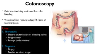 Colon bleeding approach and investigations | PPT