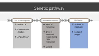 Colon ca. , presentation , pathophysiology , and treatment | PPTX