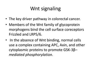 Colon cancer molecuar biology and epidemiology risk factors | PPTX