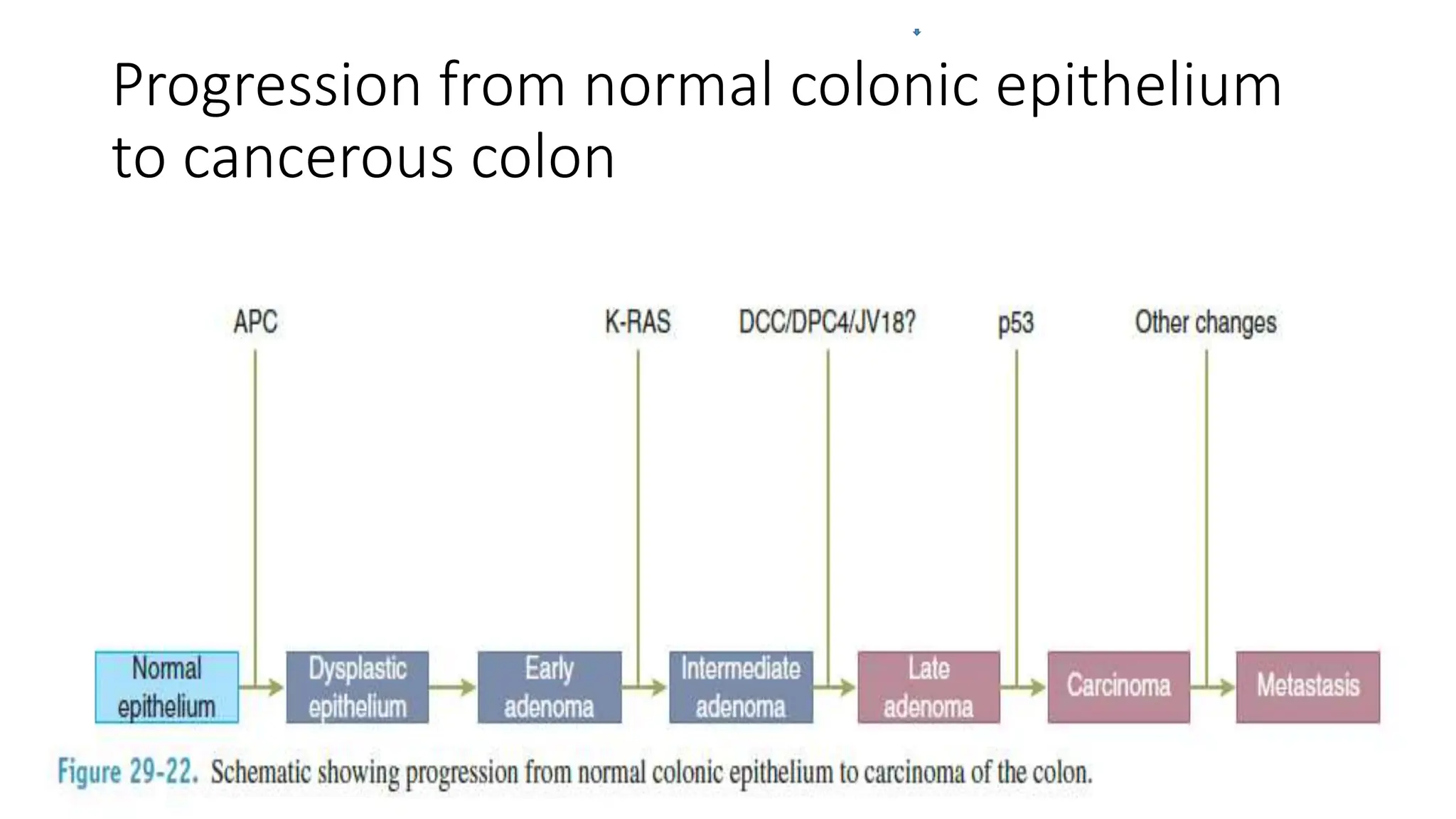 COLON CANCER causes and Management of the disease.pptx