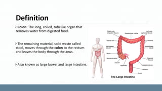 Colon Cancer - Copy (1).pptx