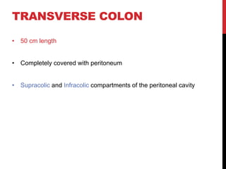 colon cancer full detailed presentation.pptx
