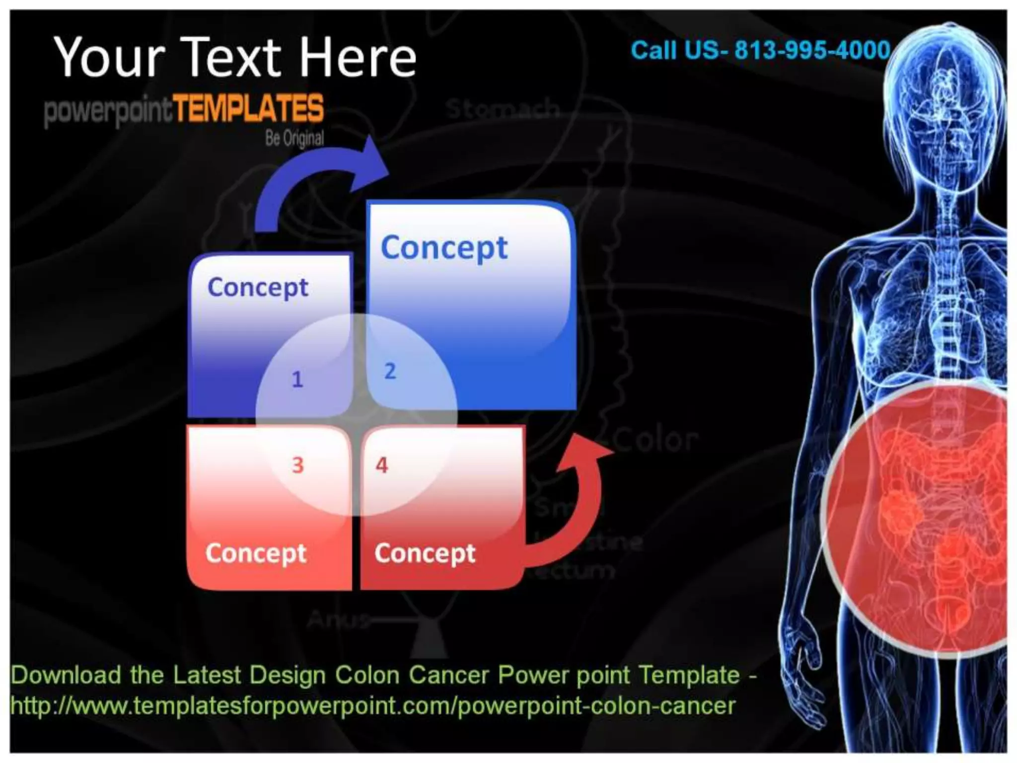 Latest Design Colon Cancer Power point Template | PPTX