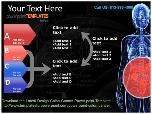 Latest Design Colon Cancer Power point Template | PPTX