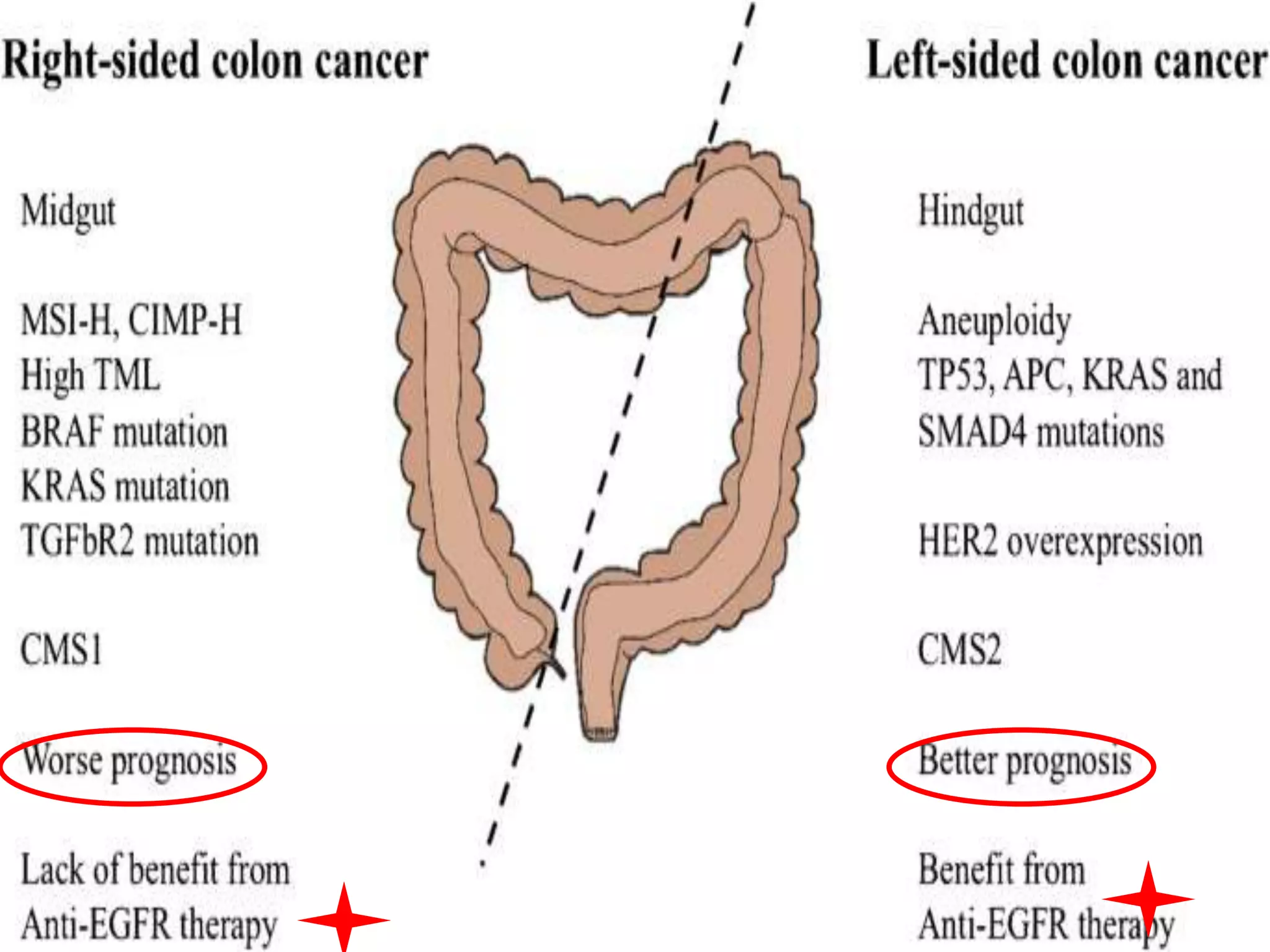 COLON CANCER STAGE IV TREATMENT OPTIONS 2022.pptx