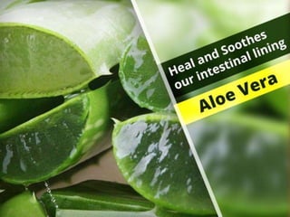 Keep Your Colon Clean With These Miraculous Gut-Cleansing Foods | PPTX