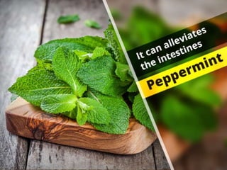 Keep Your Colon Clean With These Miraculous Gut-Cleansing Foods | PPTX