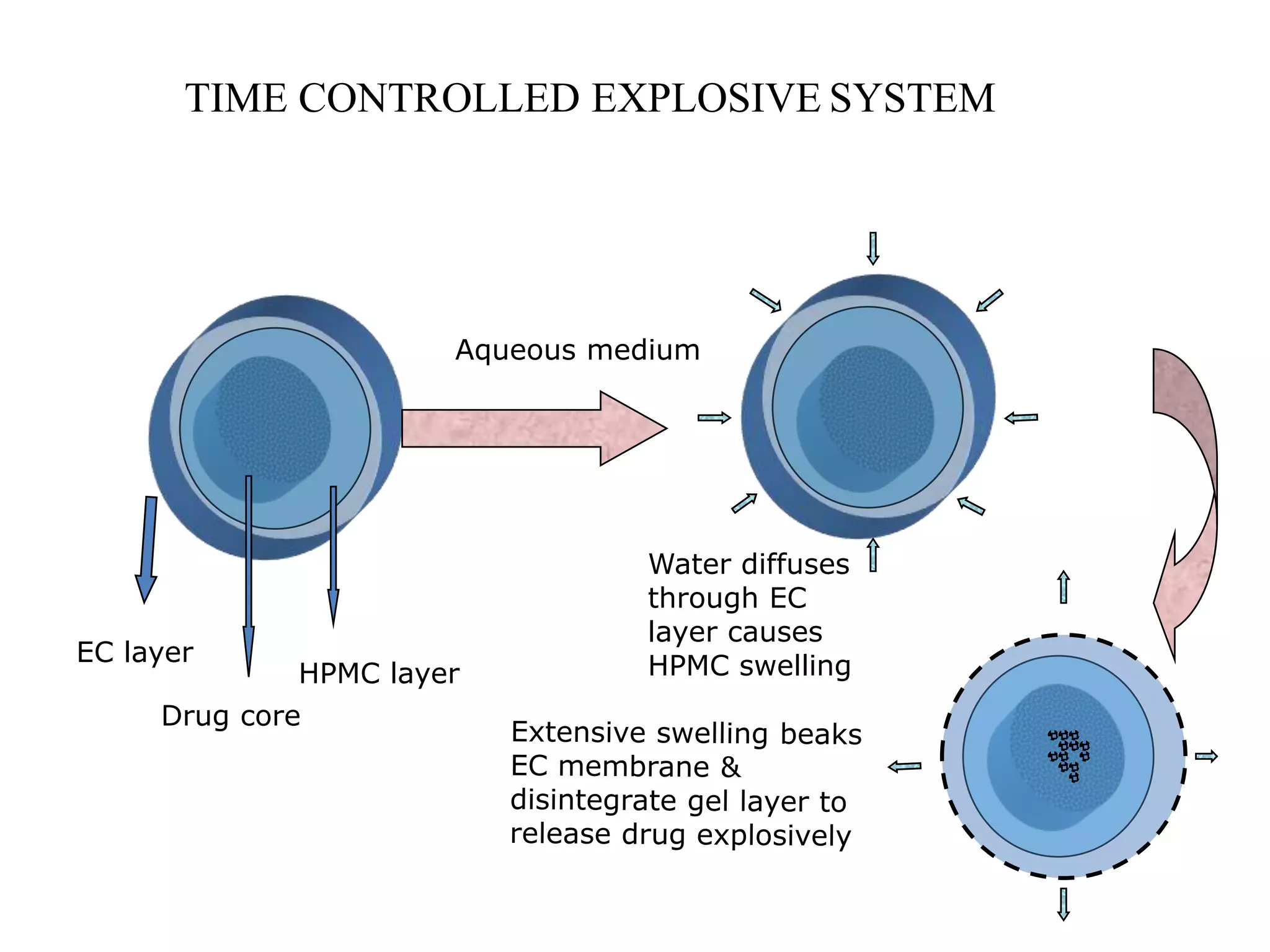 Colon drug delivery system | PPTX