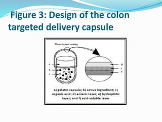 Colon drug delivery system ppt | PPT