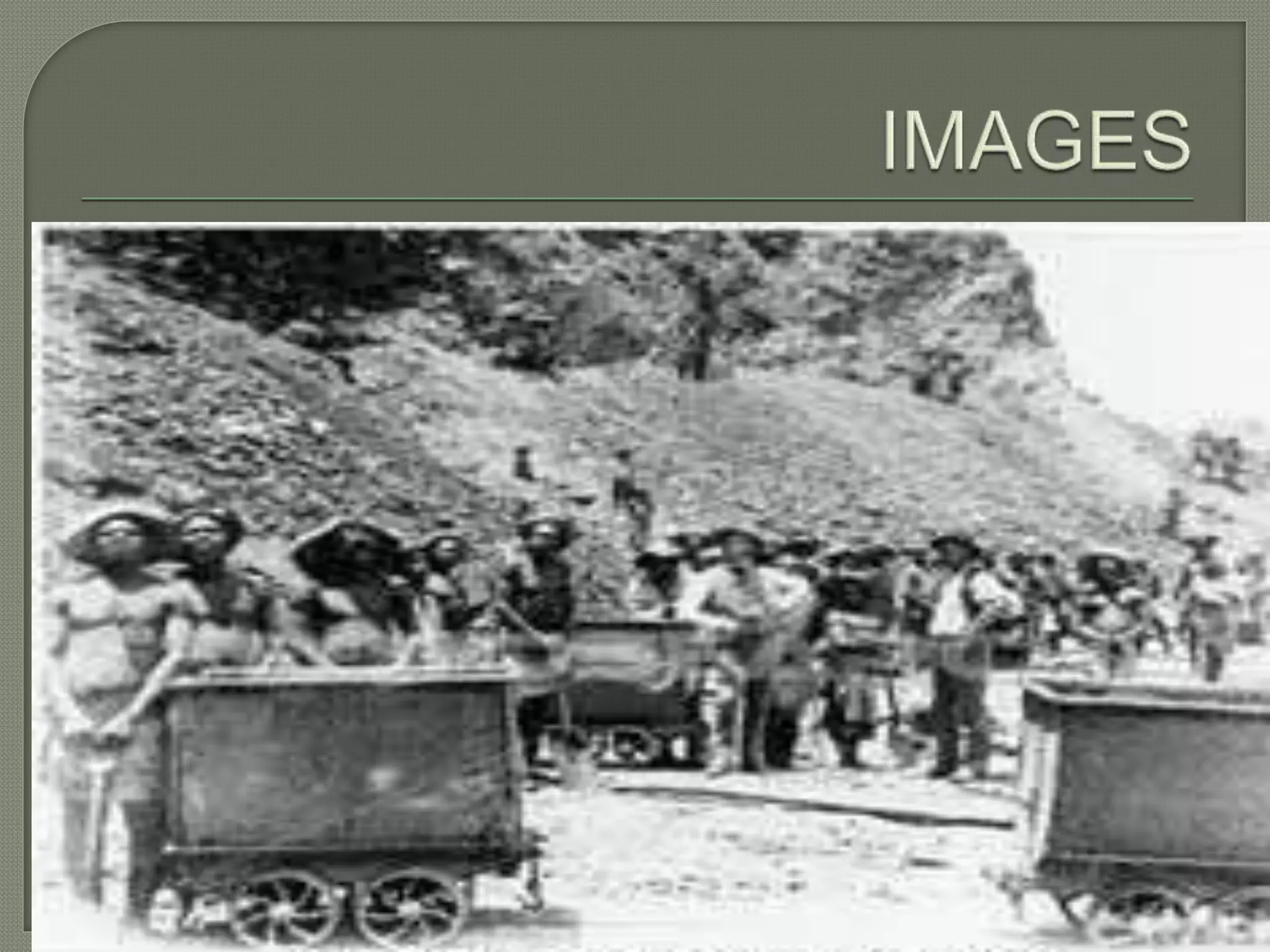 BRITISH COLONIZATION AT THE CAPE | PPTX