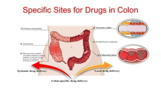 Colonic specific drug delivery notes .pdf