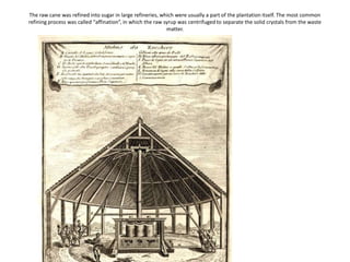 Plantations and Agriculture | PPTX