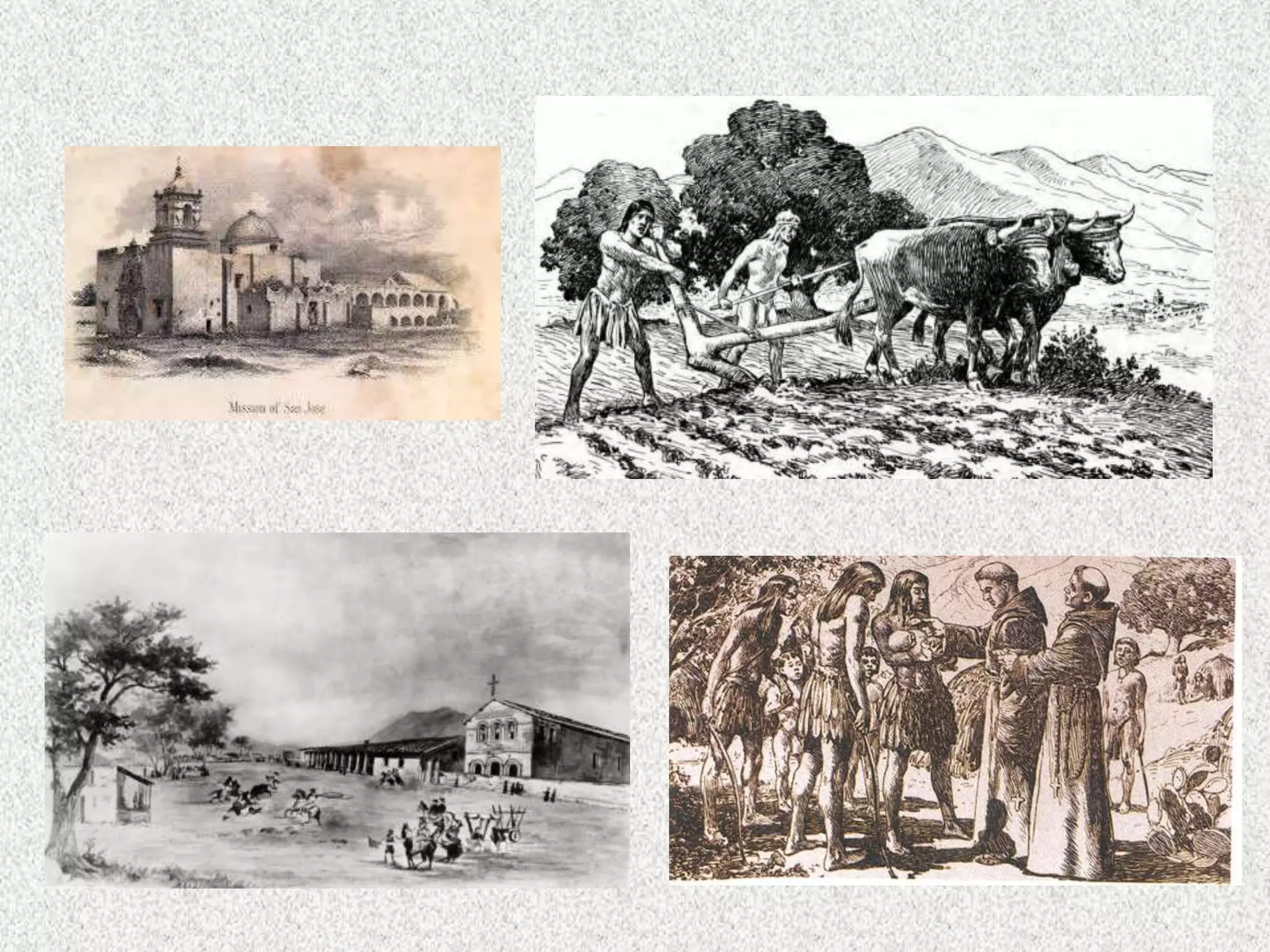 Colonizing north america | PPTX