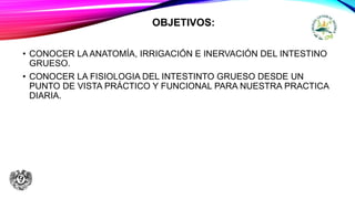COLON OK.pptx