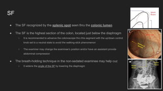 Colonoscopy | PPTX