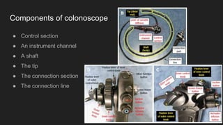 Colonoscopy | PPTX
