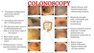 colonoscopy-ppt-190317111747.pptxpptxxxxxx | PPT