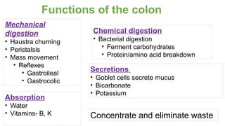 colon physiology and surgical application | PPT