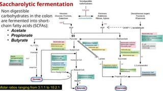colon physiology and surgical application | PPT
