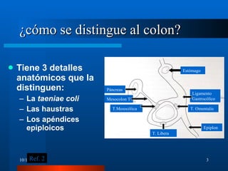 COLON POR ENEMA | PPT