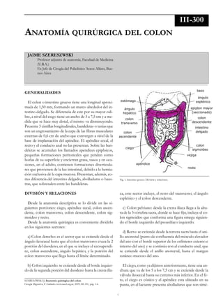 Anatomia Quirúrgica de Colon | PDF