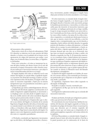 Anatomia Quirúrgica de Colon | PDF