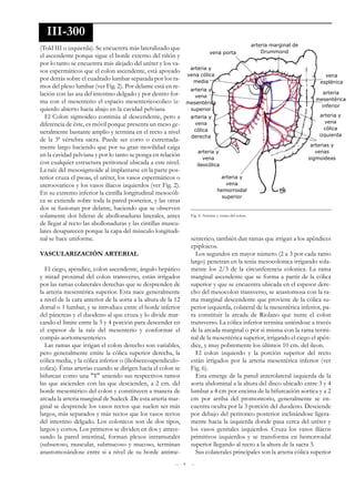 Anatomia Quirúrgica de Colon | PDF