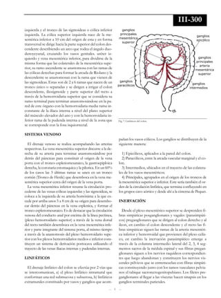 Anatomia Quirúrgica de Colon | PDF