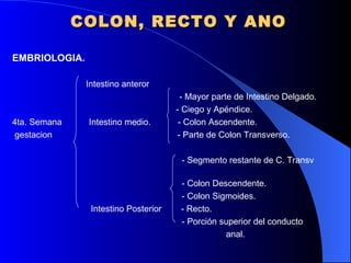 Colon, Recto Y Ano | PPT