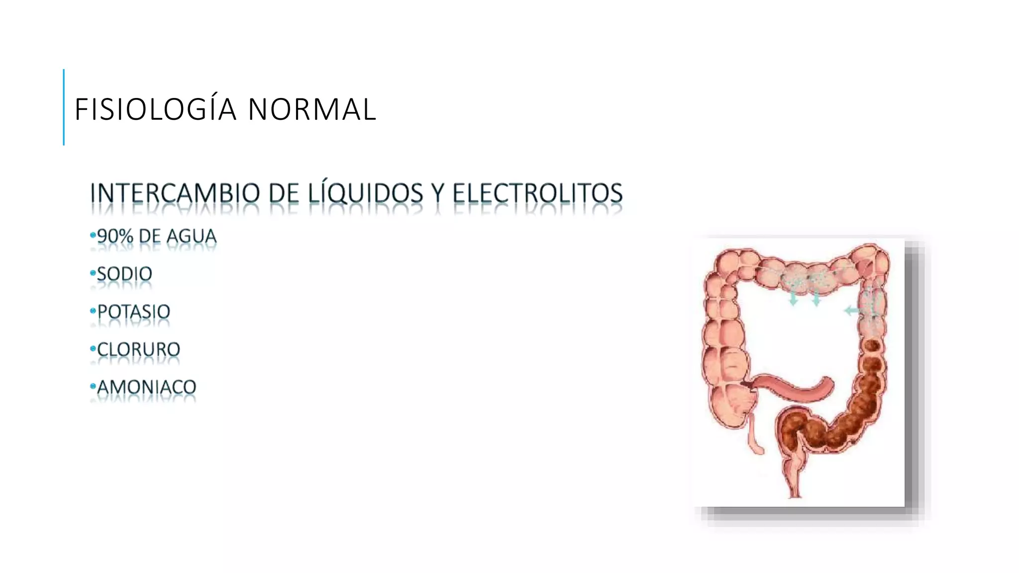 Colon, recto y ano | PPTX | Digestive Disorders | Diseases and Conditions