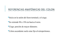Colon, recto y ano | PPTX