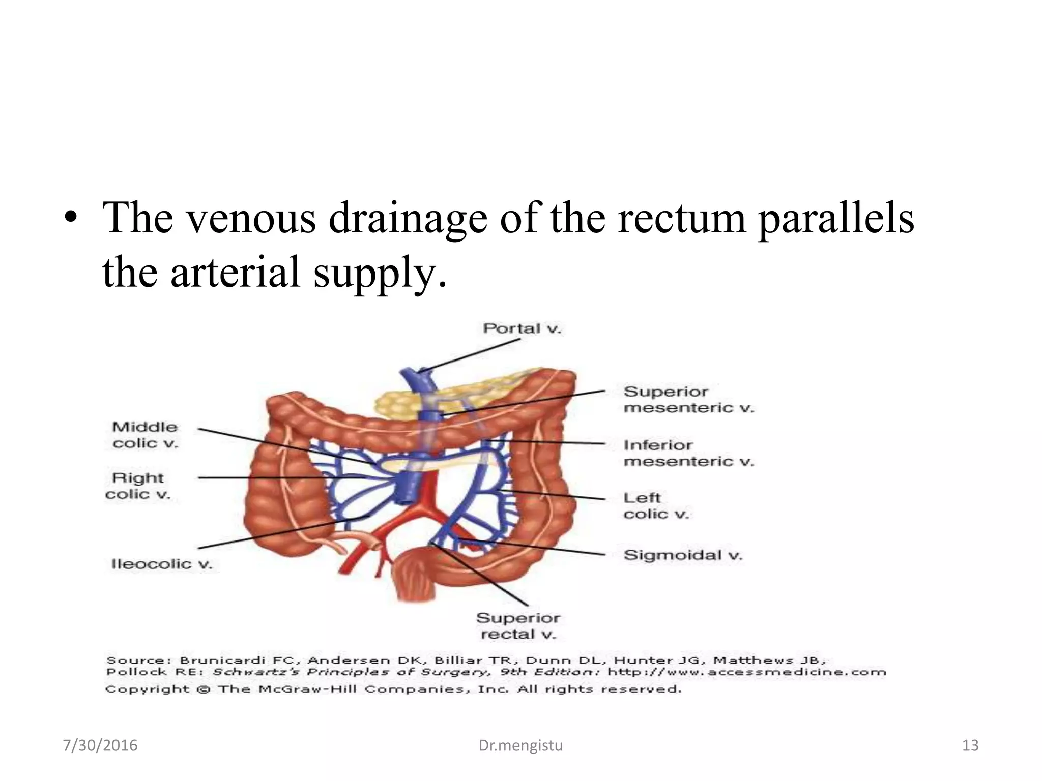 Colon, rectum, and anus | PPTX