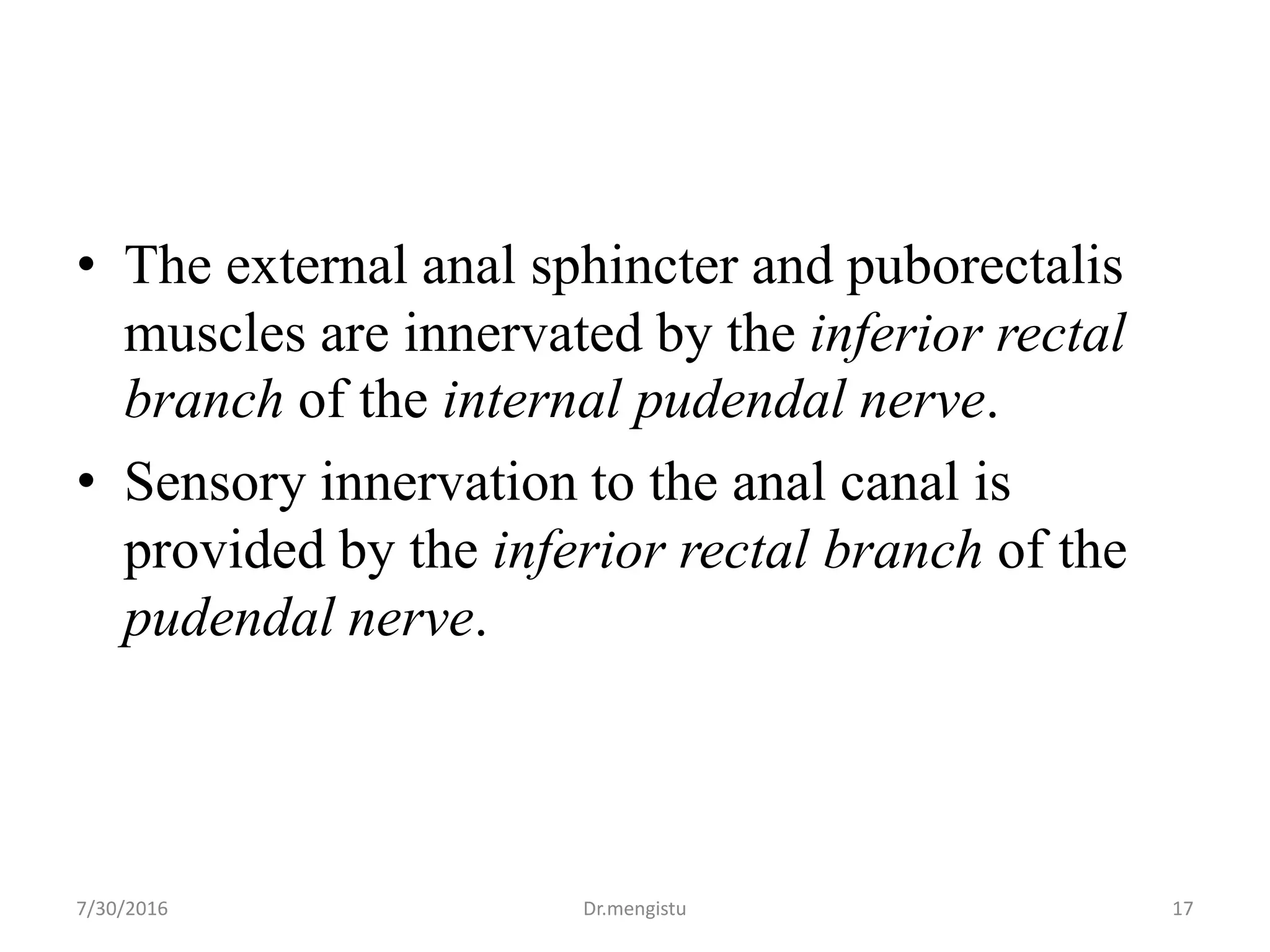 Colon, rectum, and anus | PPTX
