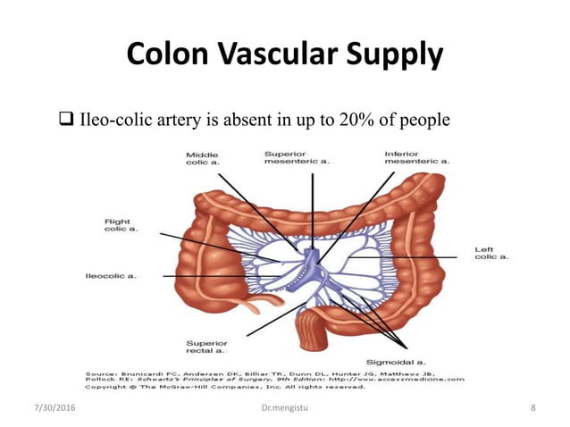 Colon, rectum, and anus | PPTX