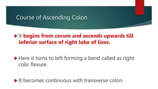 Colon Rectum Anus.pptx
