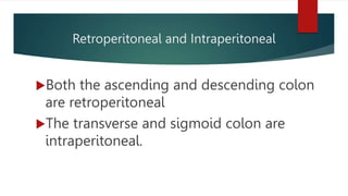 Colon Rectum Anus.pptx