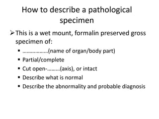 Colon specimen: Colon cancere , Colon TB | PPTX