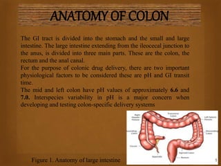 Colon targeted drug delivery | PPTX