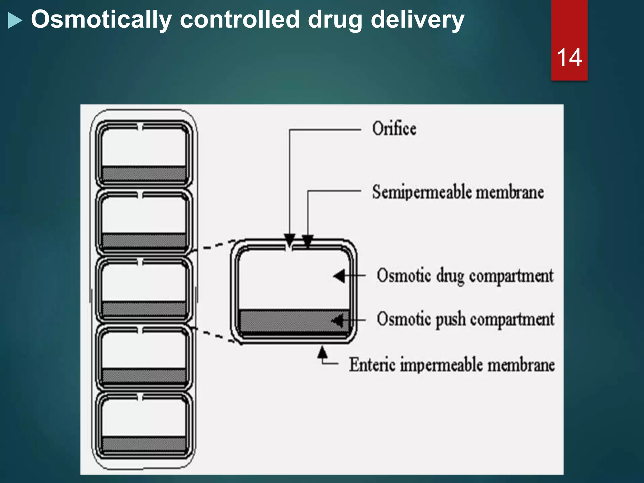 Colon Targeted Drug Delivery Pptx