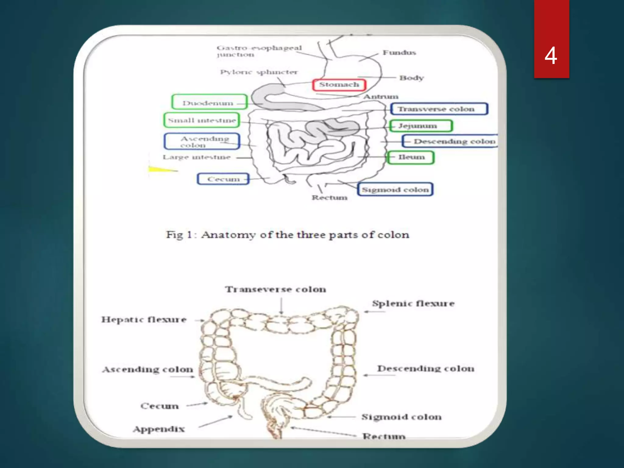 Colon targeted drug delivery | PPTX