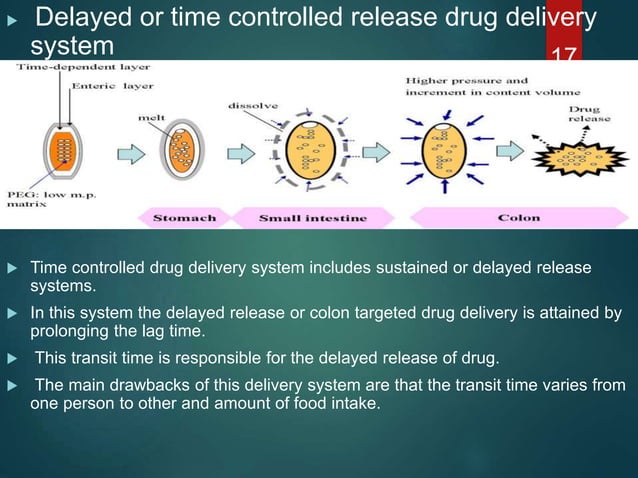 Colon targeted drug delivery | PPTX | Chemistry | Science