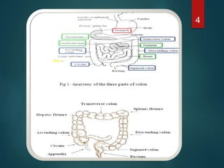 Colon targeted drug delivery | PPTX | Chemistry | Science