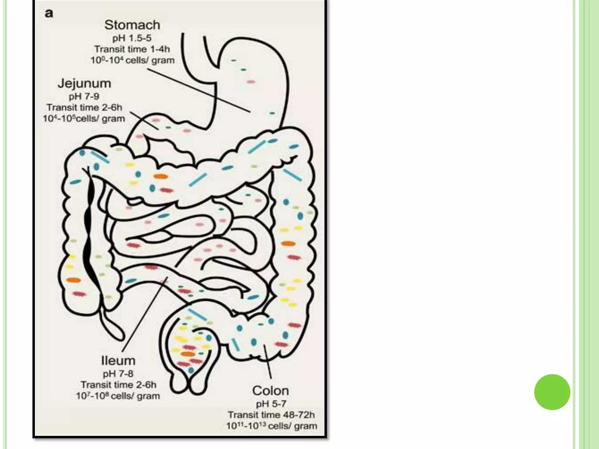 Colon targeted drug delivery systems | PPTX