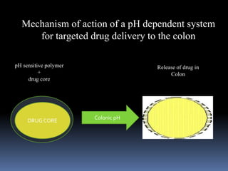 Colon targeting.pptx | Free Download