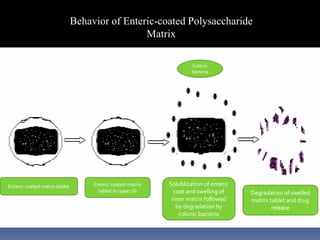Colon targeting.pptx