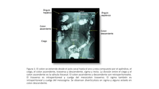 SEMIOLOGIA DEL COLON TC Y RM.pptx