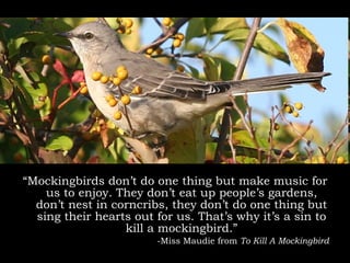 To Kill A Mockingbird- Photo essay by Kayla Piiwaa | PPT